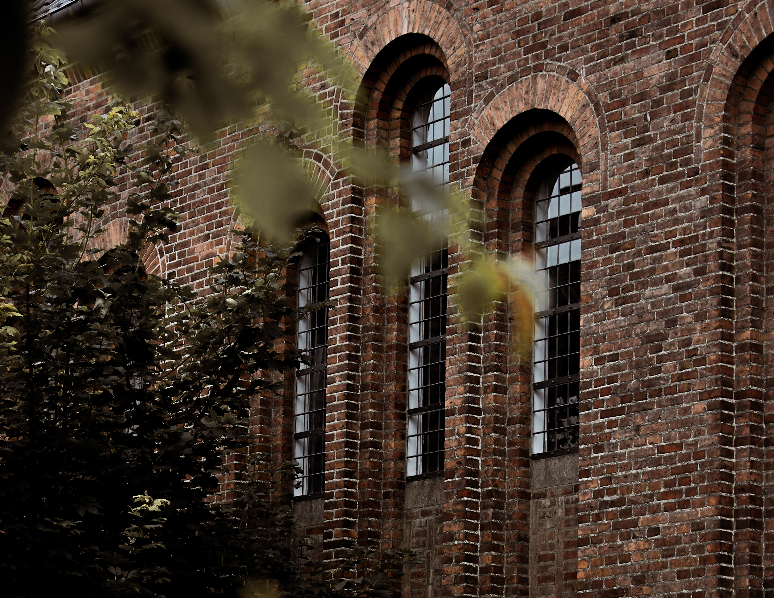 copy_Kor for voksne | Nathanaels Kirke